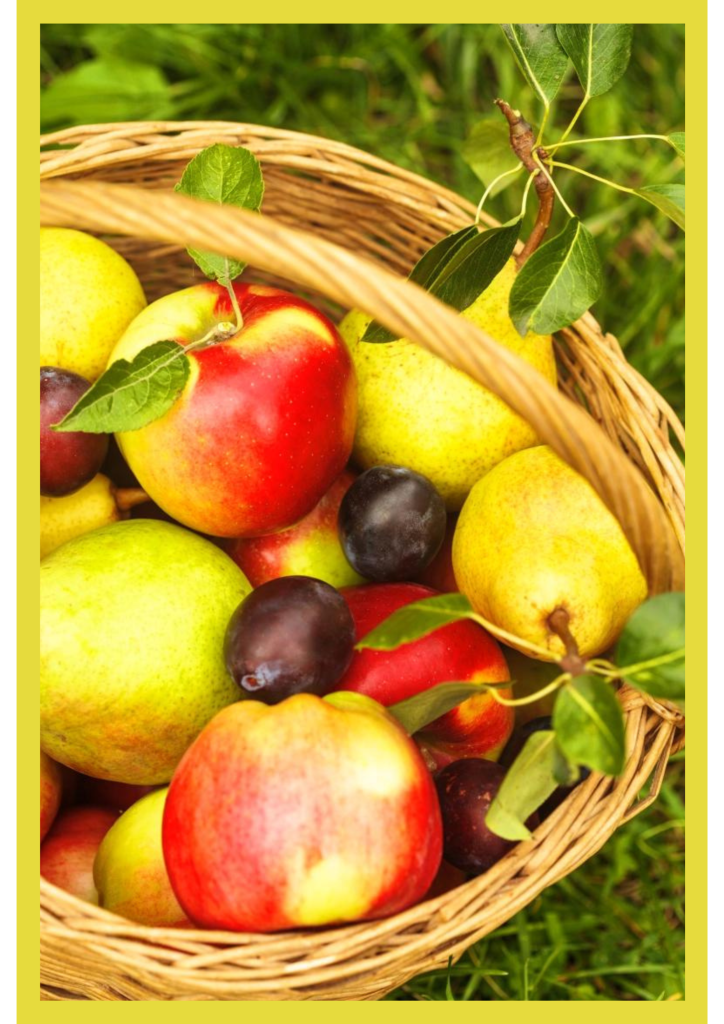 Archangel Hamaliel – Flowing with Angels