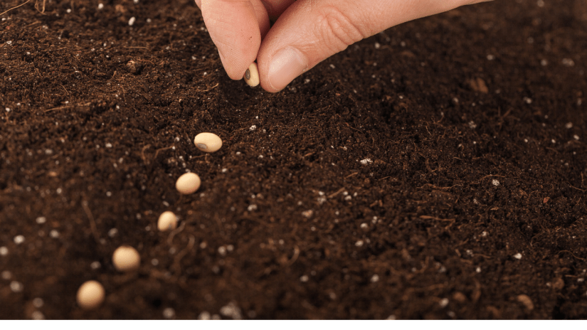 Archangel Machidiel – Flowing with Angels