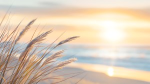 Archangel Muriel – Flowing with Angels